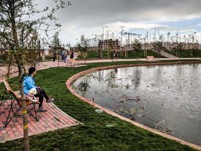 Parcul Teilor - Descoperă acest loc din București