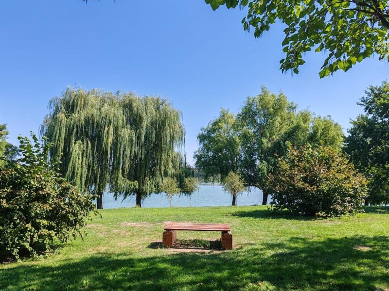 Parcul Dendrologic Chitila - Descoperă acest loc din București